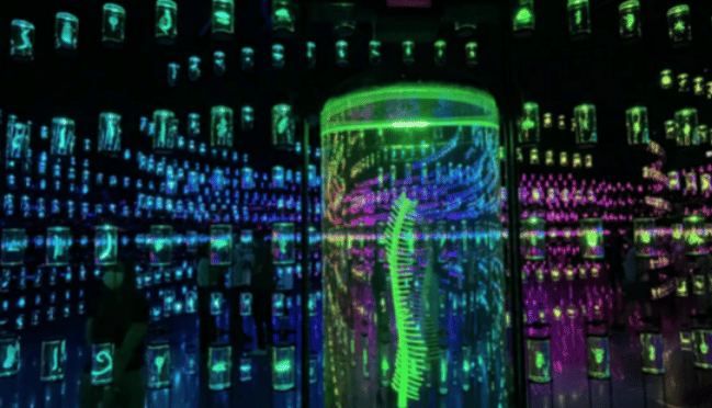 Museum of the Future Offers: Up to 11% off May 2024