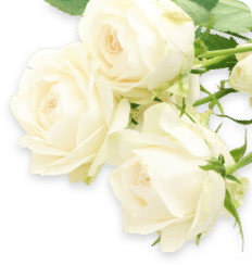 Talabat Voucher Codes UAE | 90% Off | May 2024