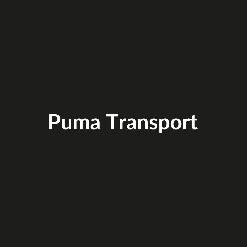 Best Puma India Running Shoes Under ₹5000 – June 2026 Guide